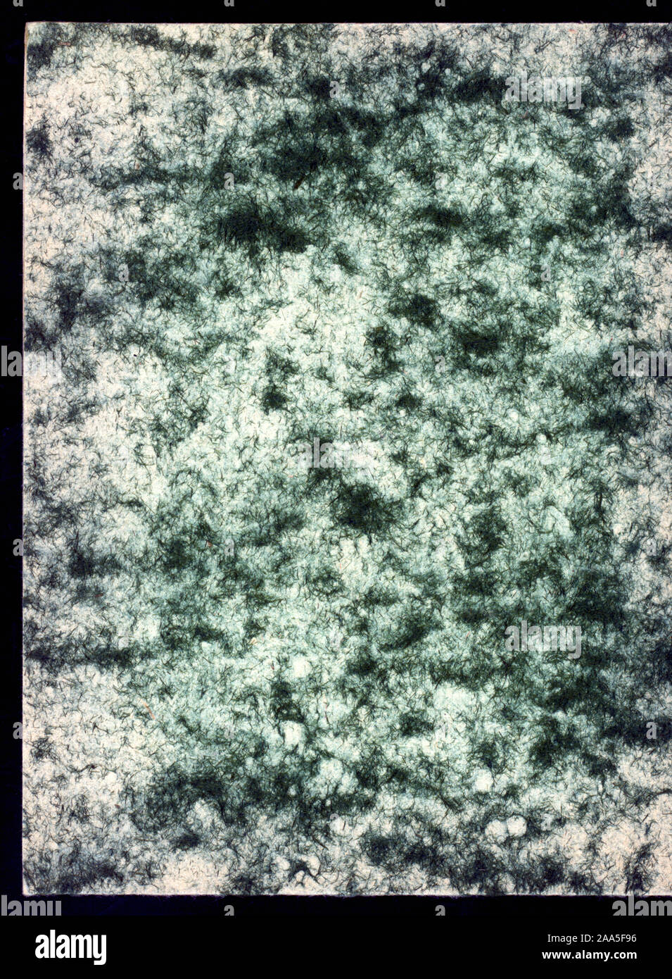 GREEN FLOCKED PAPER WITH RED PRINT; MENU INSERTED; BANQUET [held by ...