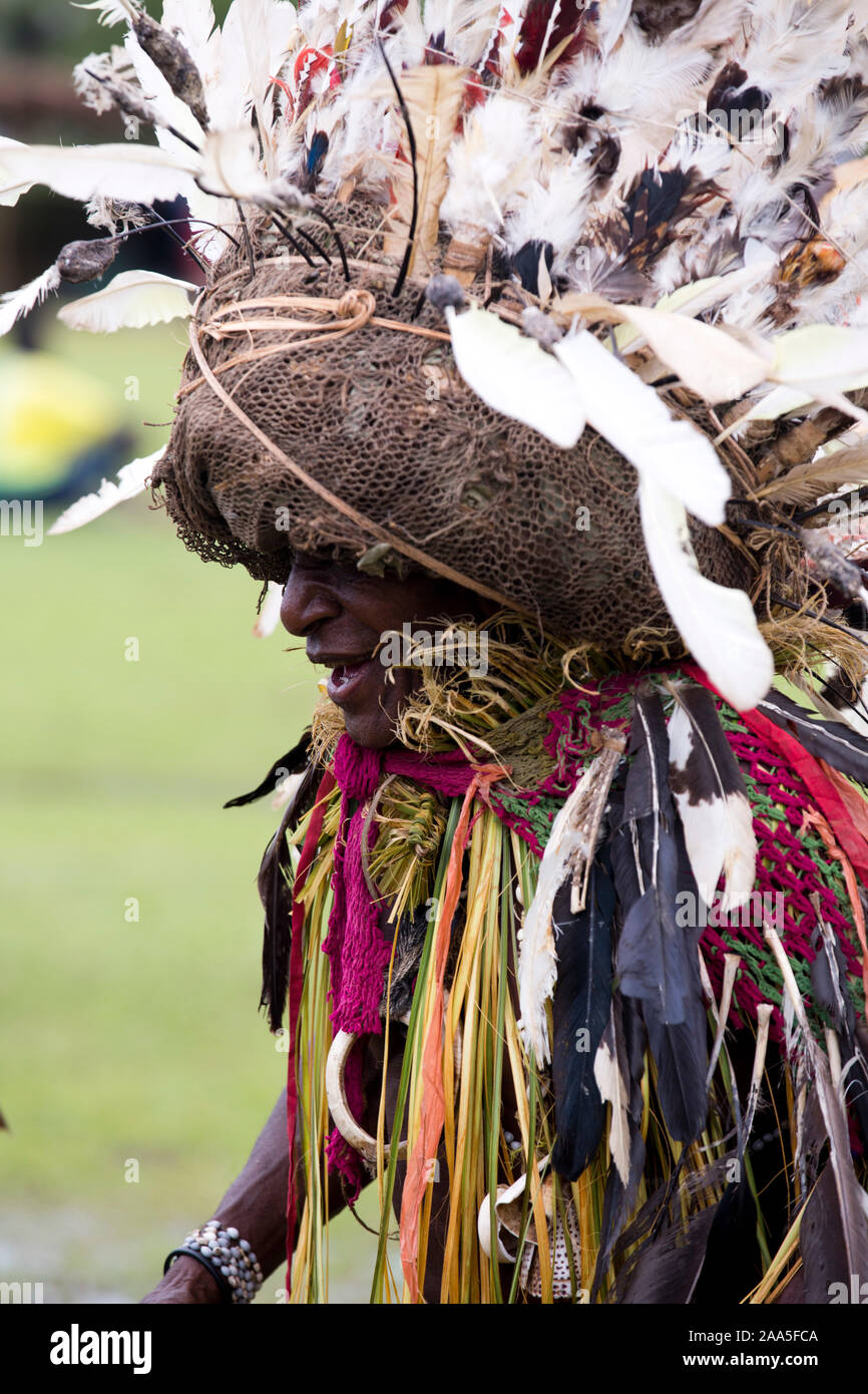 Large feather head dress Stock Photo - Alamy