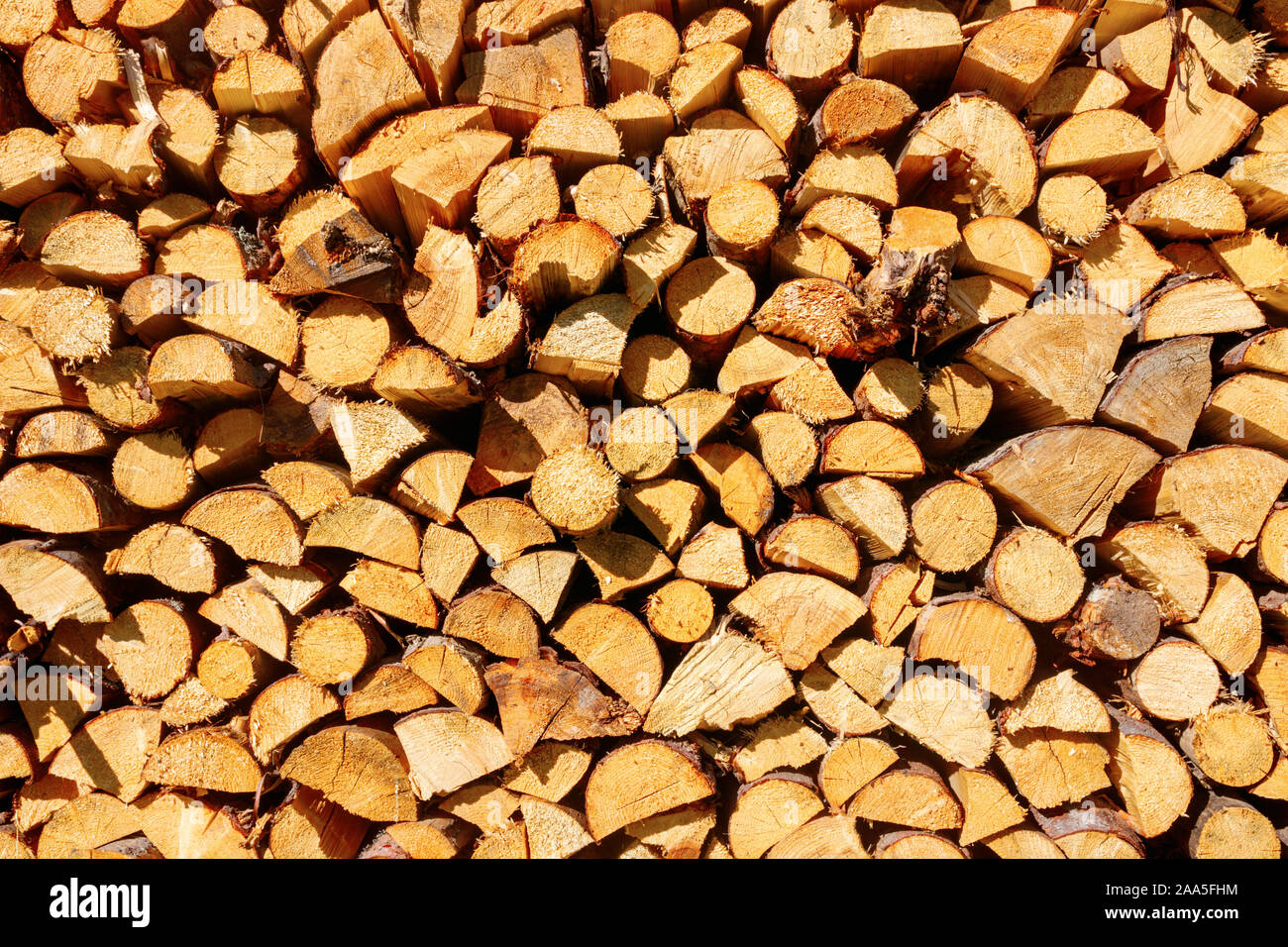 Large stack of wooden logs from cut pine trees lit by the sun Stock ...