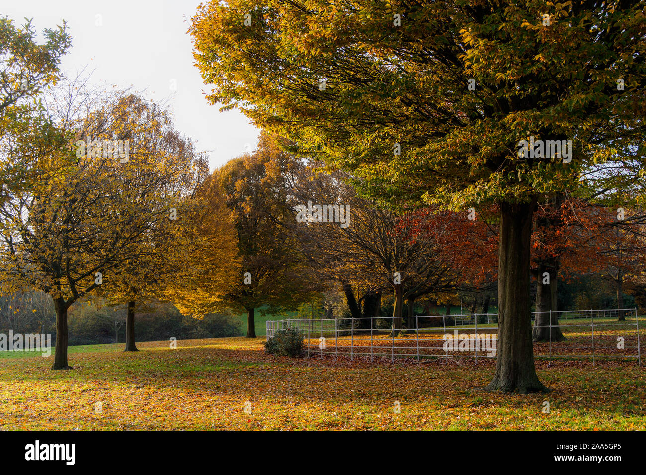 Selly park birmingham hi-res stock photography and images - Alamy