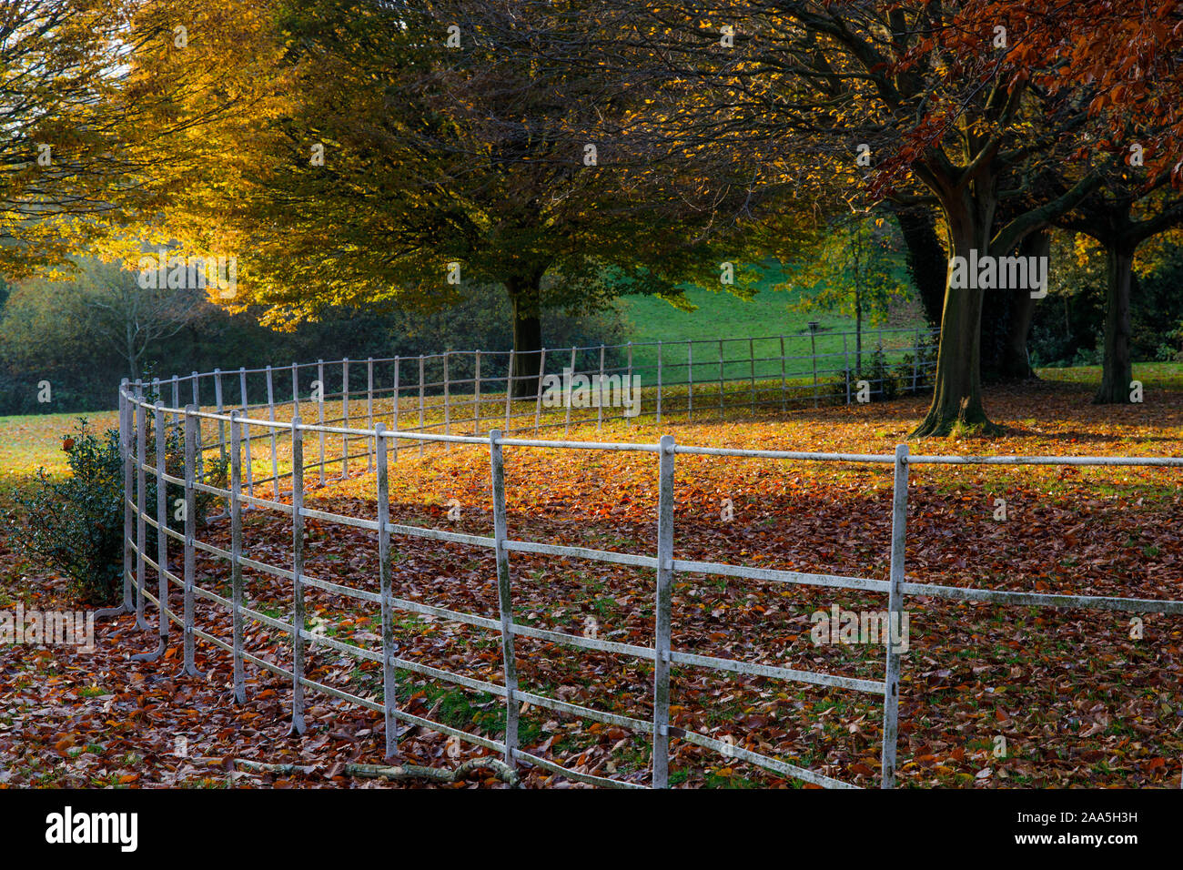 Selly park birmingham hi-res stock photography and images - Alamy