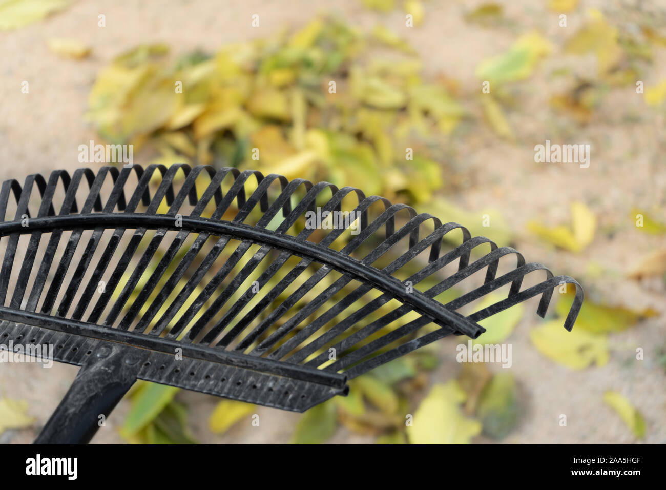 Rake with autumn leaves in the background Stock Photo - Alamy