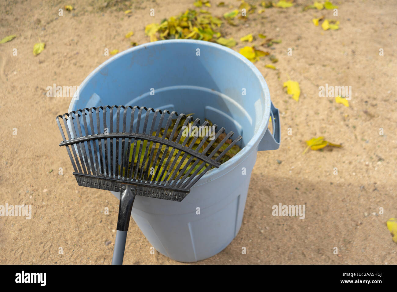 Rake and trash can used in gathering autumn leaves Stock Photo - Alamy