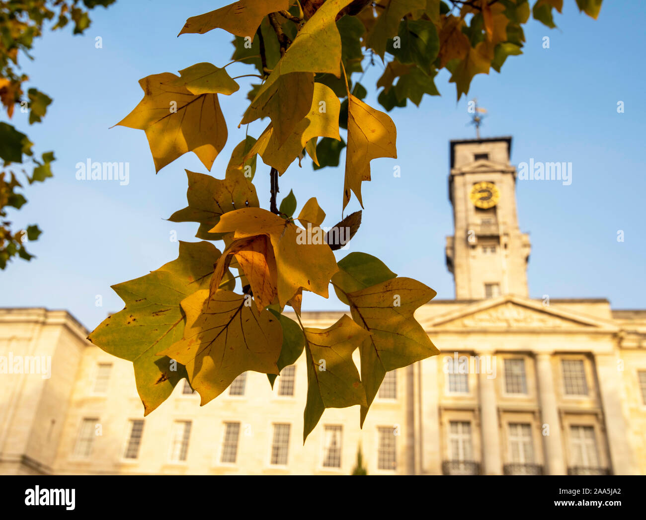 Autumn leaves surrounding the Trent Building at University Park ...
