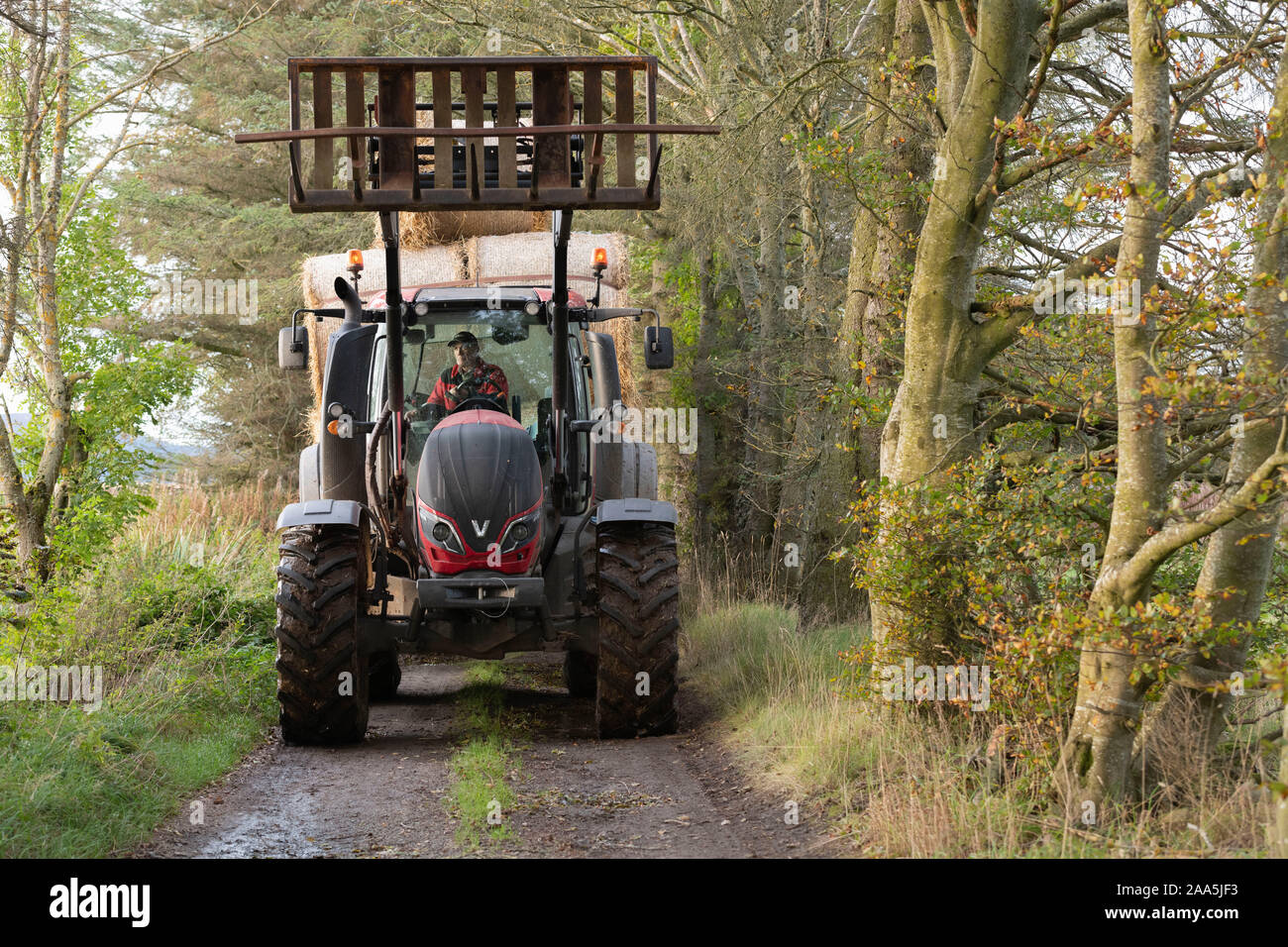 A Farmer in a Red Tractor Pulling a Trailer, Fully Laden with Straw ...