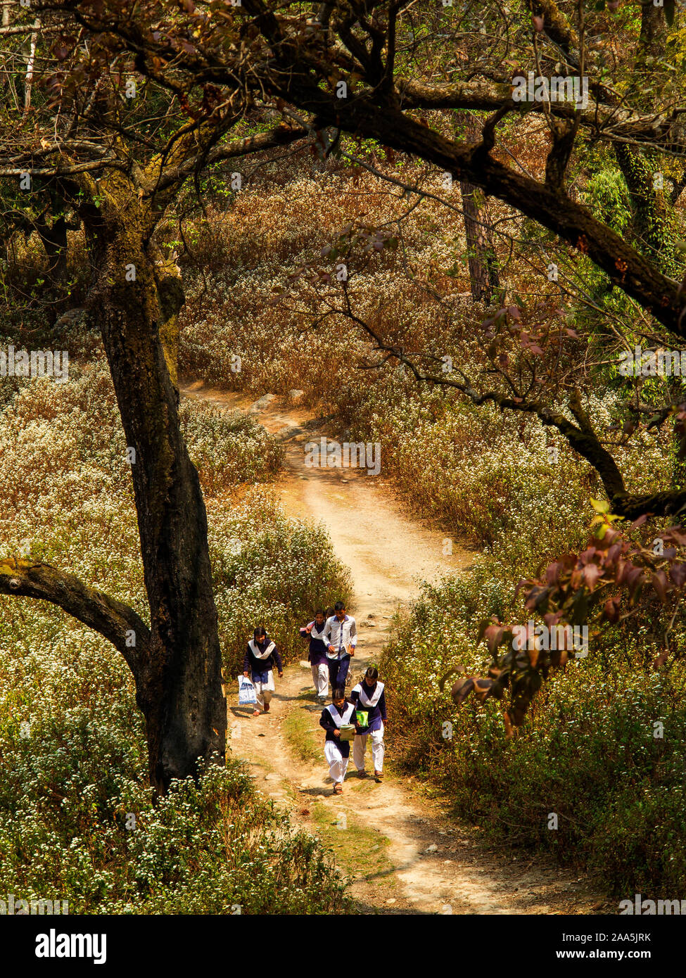 Forest school students uniform hi-res stock photography and images - Alamy
