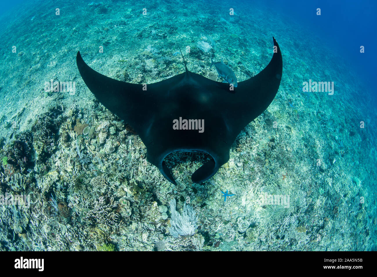 Marine biology station hi-res stock photography and images - Alamy