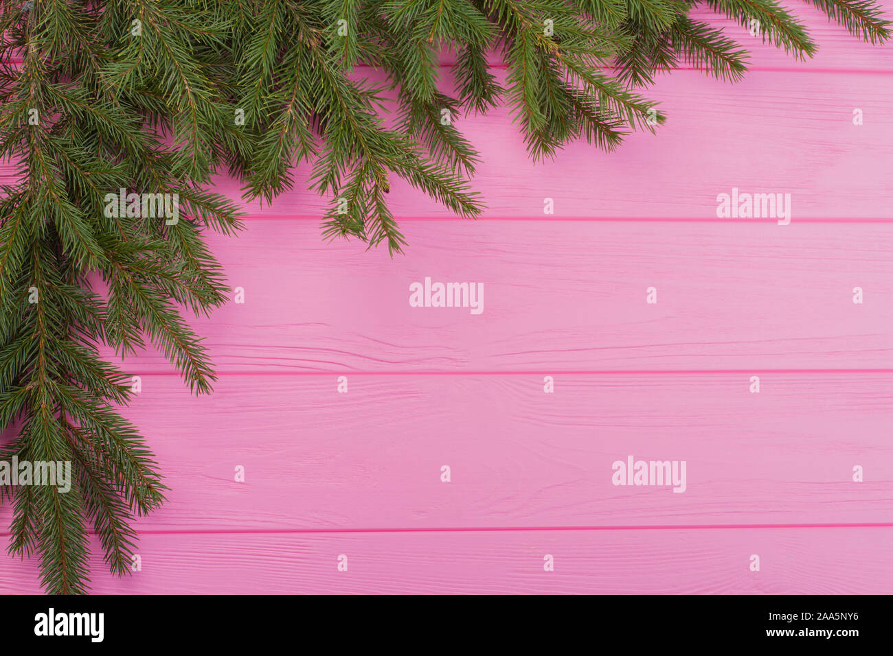 Corner frame fir branches hi-res stock photography and images - Alamy