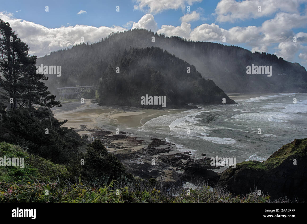 View over Heceta Head's hidden beach and sea cliffs, part of Devils ...