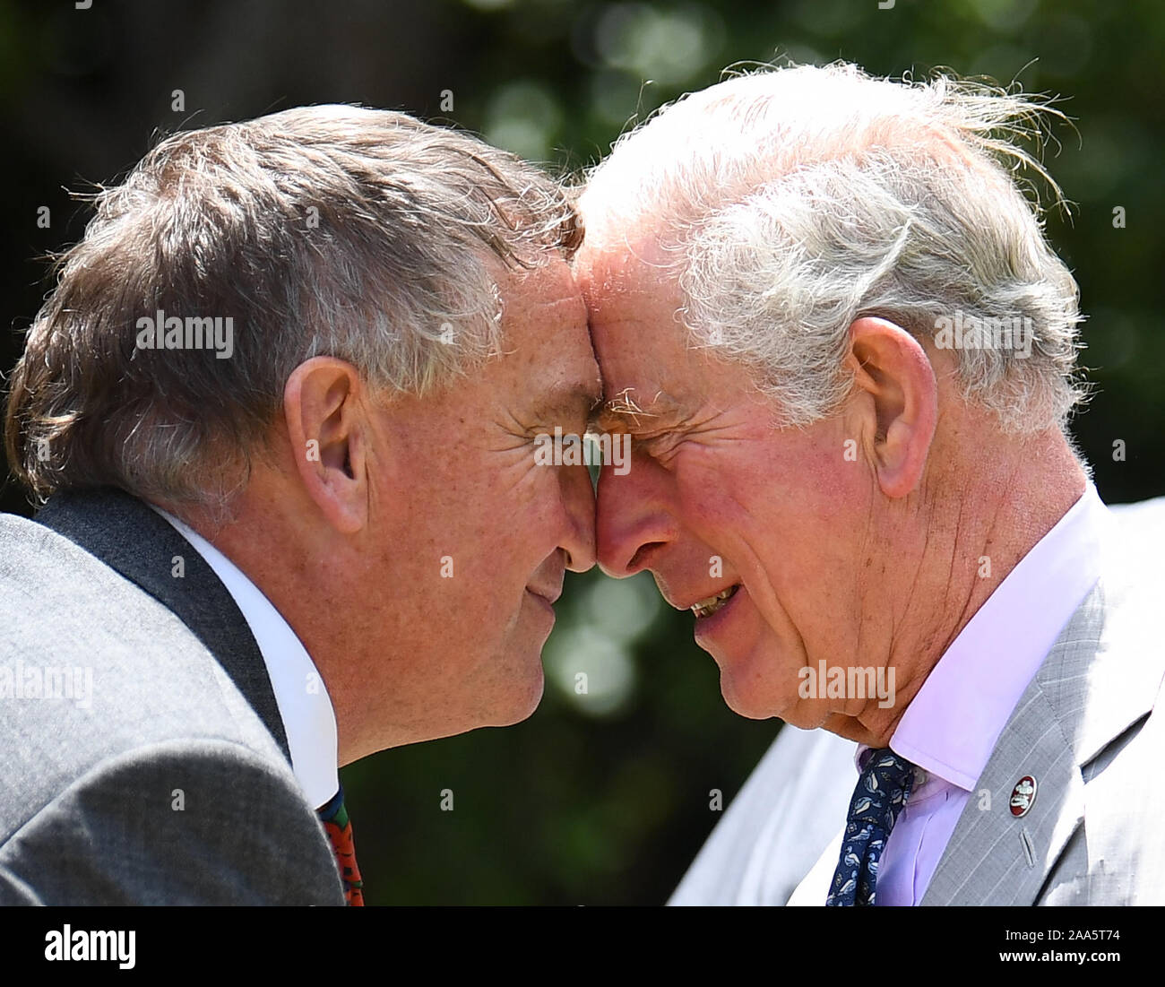 The Prince of Wales receives a hongi, the traditional Maori greeting ...