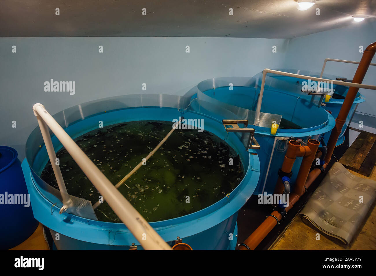 Commercial Fish Holding Tanks