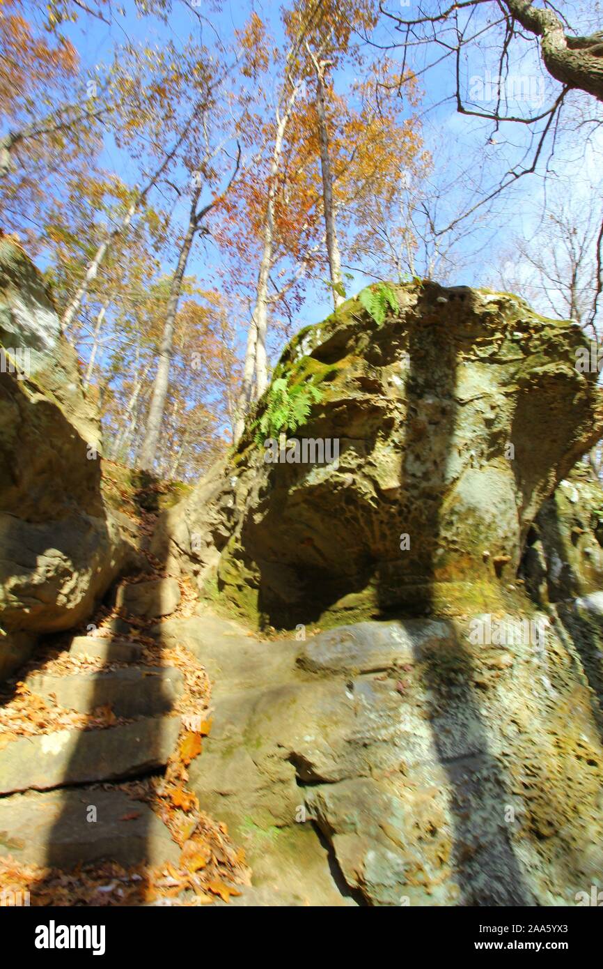 Hemlock Cliffs in Autumn, Indiana Stock Photo - Alamy