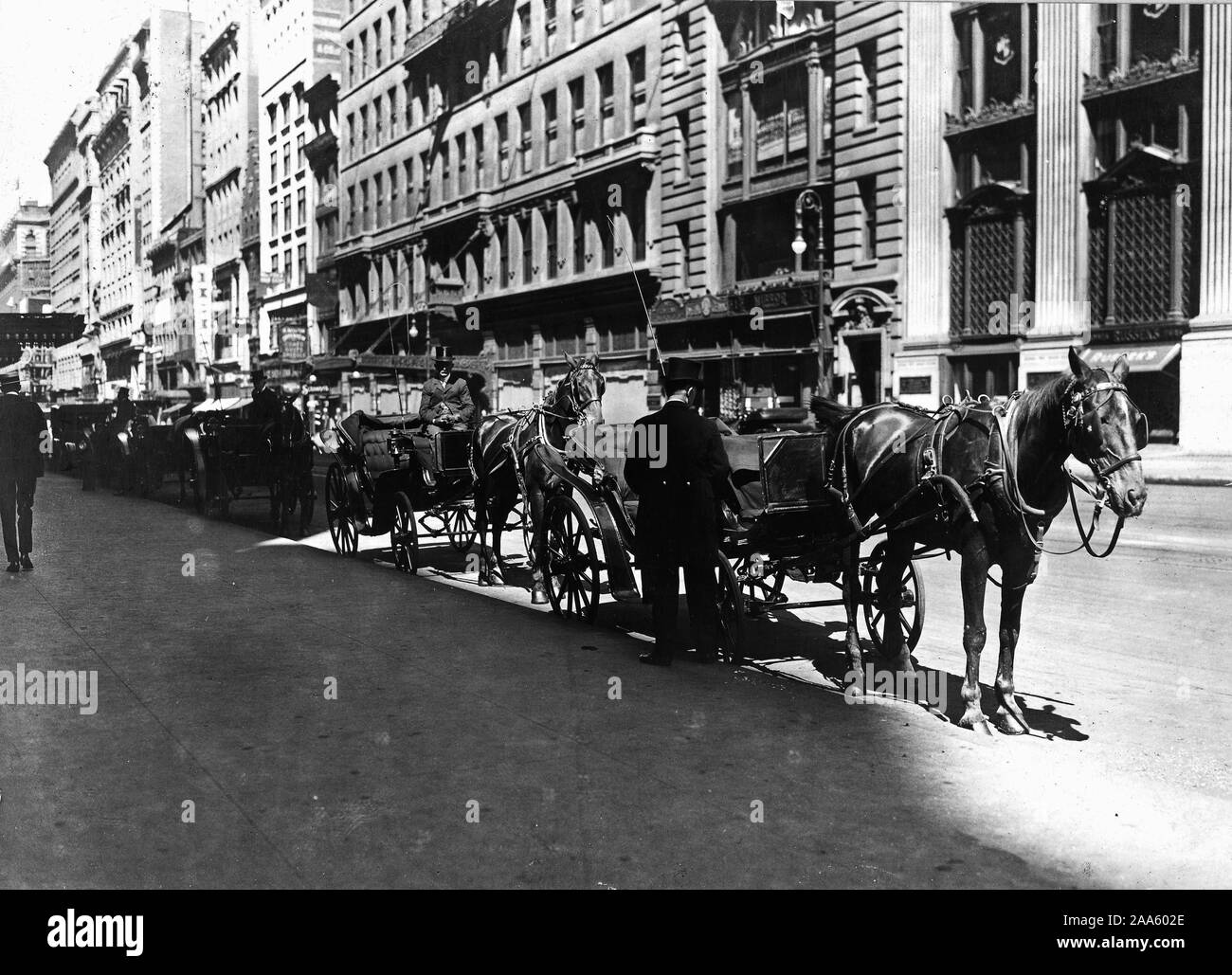 Line of horse drawn cabs which did duty in New York City on the gasless ...