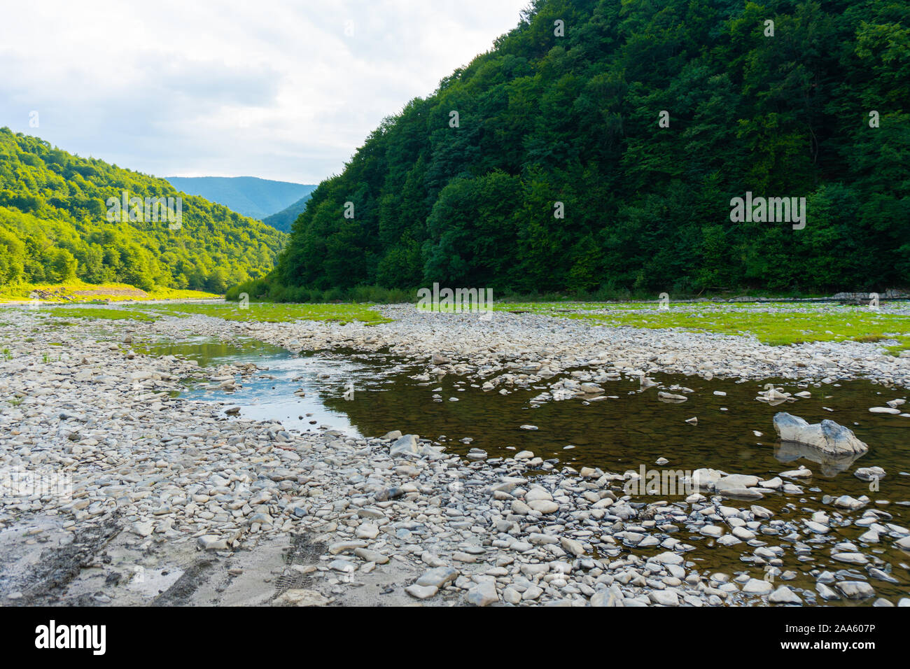 Wild mountain river near hill with forest behind Stock Photo - Alamy