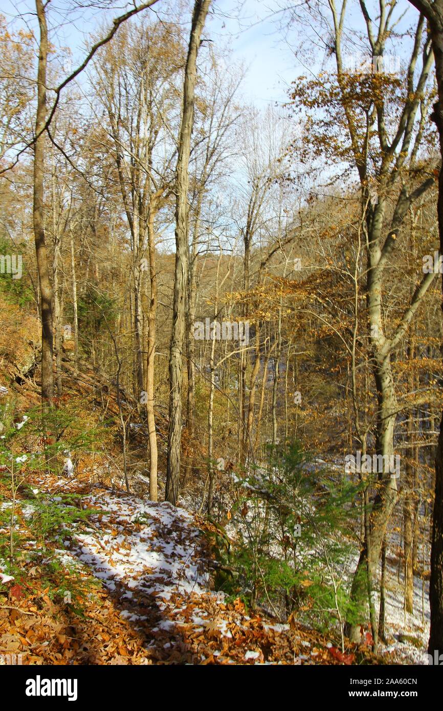 Indiana hoosier national forest hi-res stock photography and images - Alamy