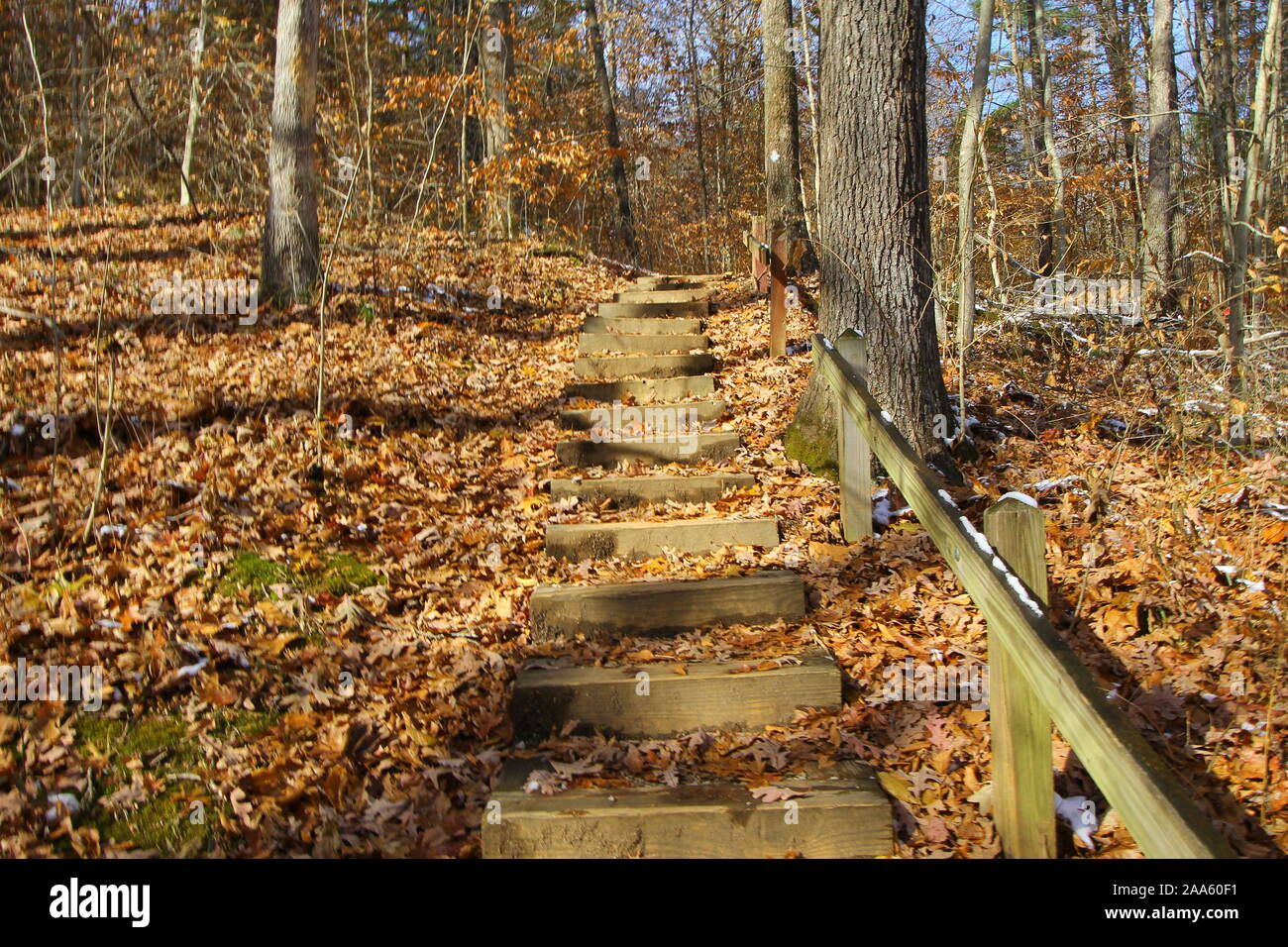Hemlock Cliffs in Autumn, Indiana Stock Photo - Alamy