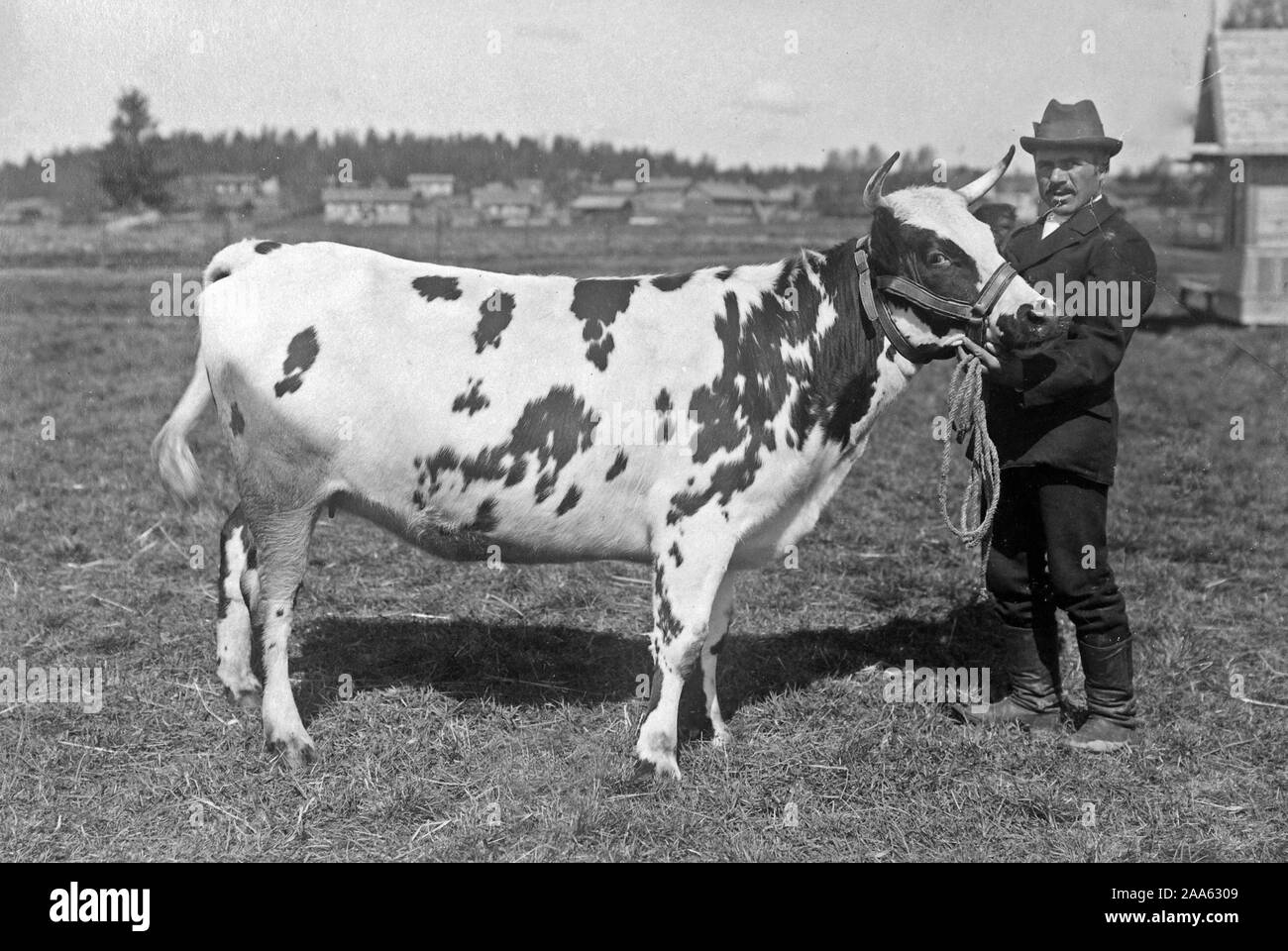 Finnish man hi-res stock photography and images - Alamy