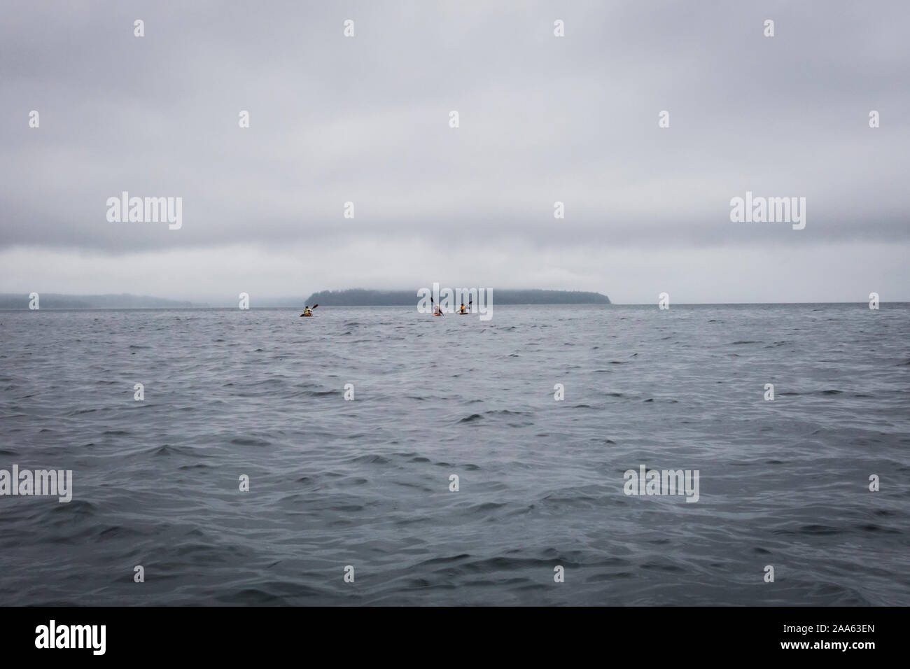 Blake island marine state park hi-res stock photography and images - Alamy