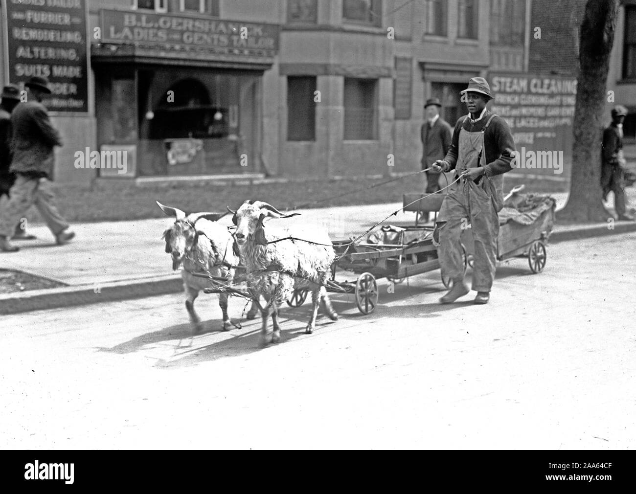 African American man with a goat drawn cart ca. 1910-1917 Stock Photo ...