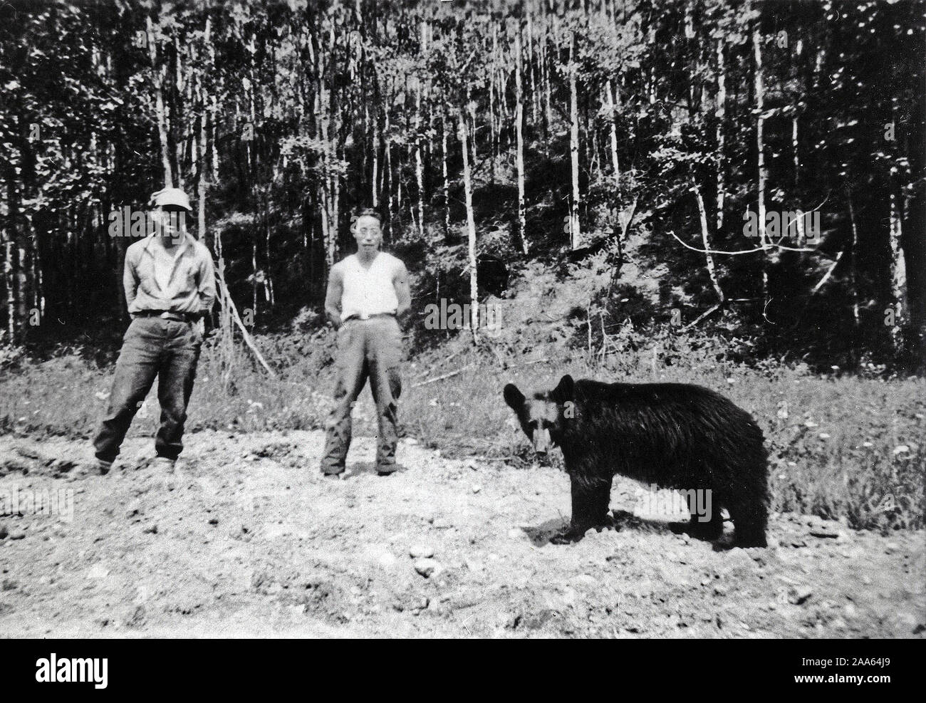 Road camp 1940s bear in road hi-res stock photography and images - Alamy