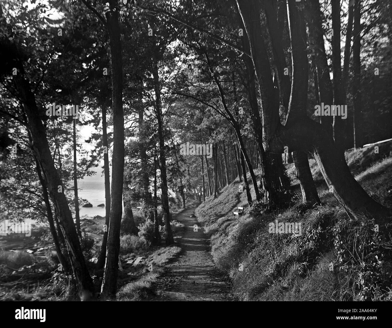 Devon lane Black and White Stock Photos & Images - Alamy