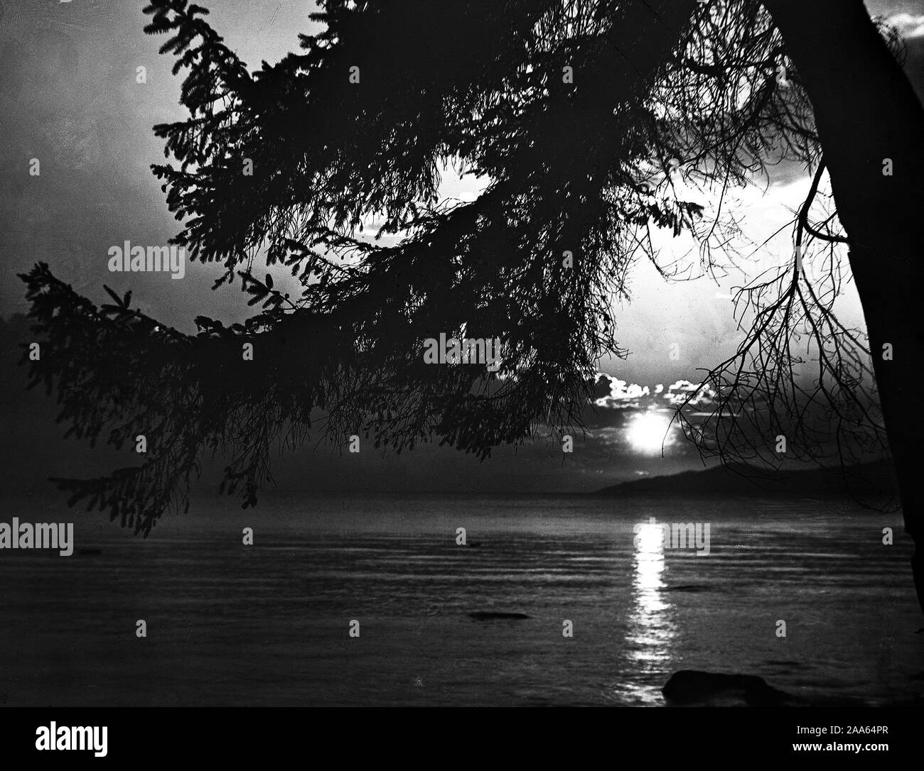 Sunset over English Bay from Stanley Park, Vancouver, B.C. ca. 1912 ...