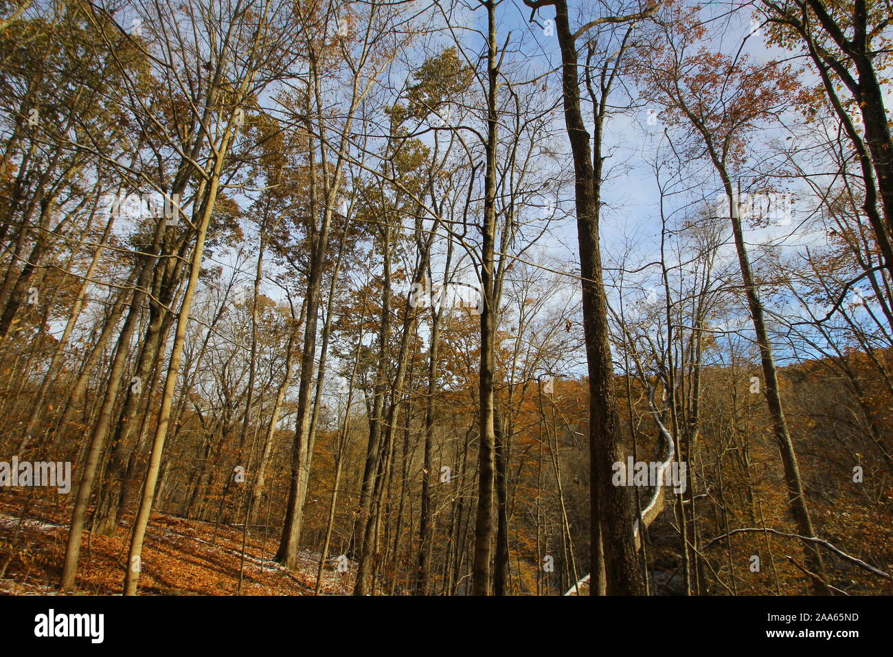 Hemlock Cliffs in Autumn, Indiana Stock Photo - Alamy