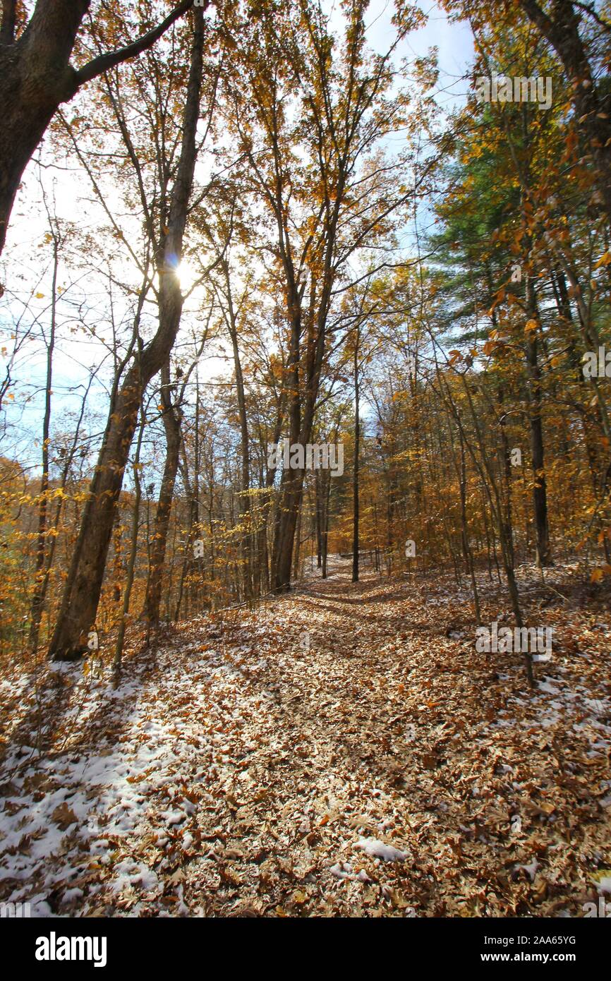 Hemlock Cliffs in Autumn, Indiana Stock Photo - Alamy