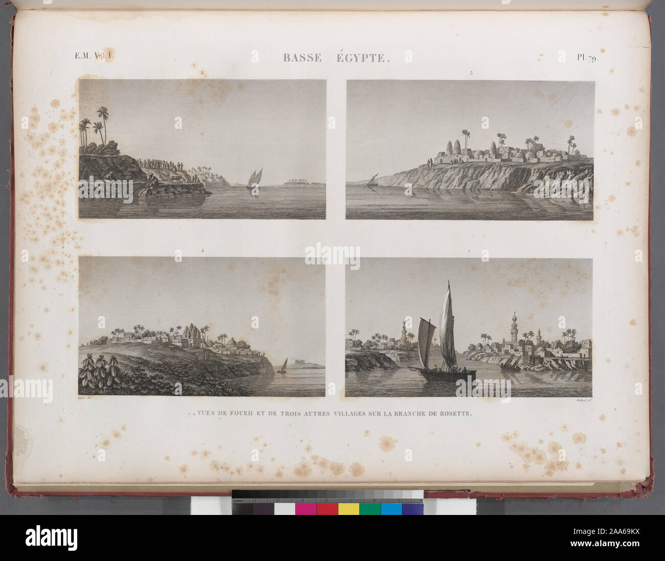 Sur la branche hi-res stock photography and images - Alamy