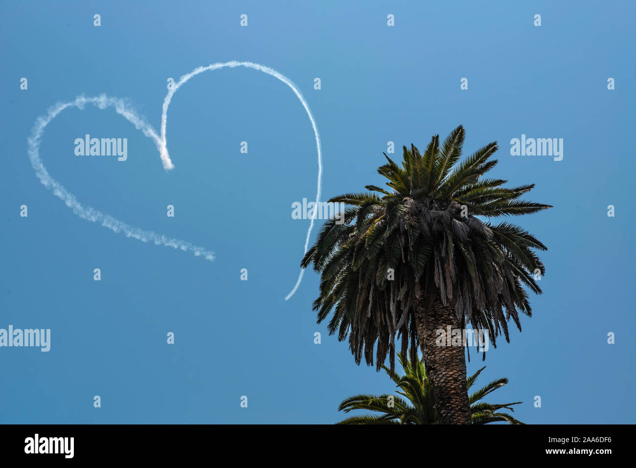 Heart Shaped Skywriting next to palm tree, Venice beach California ...