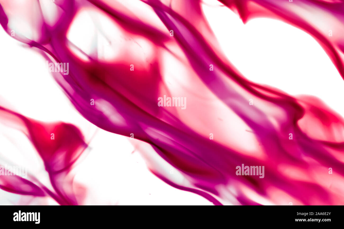 Technology, science and artistic flow concept - Abstract wave ...