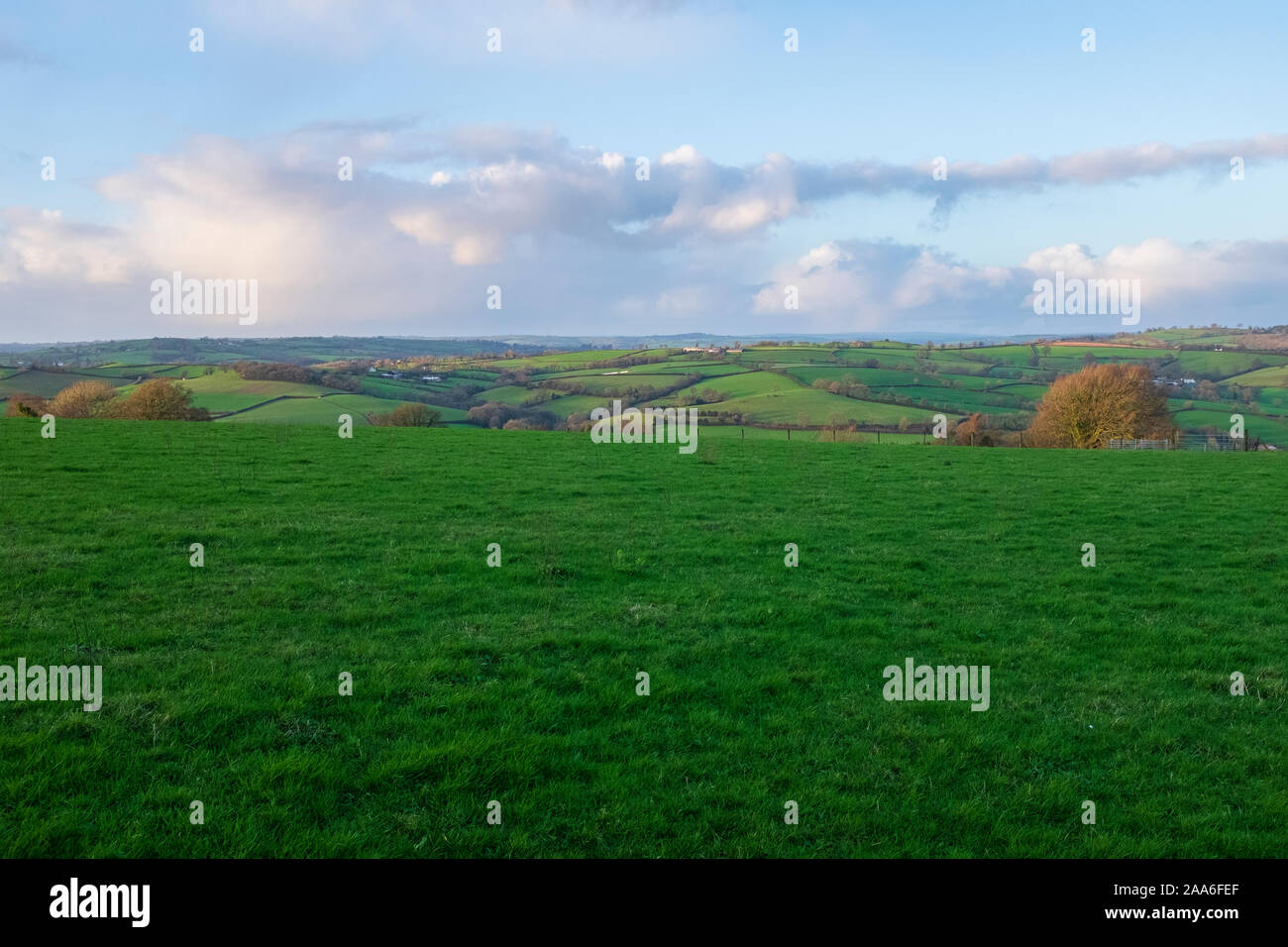 English landscape hedges hi-res stock photography and images - Alamy