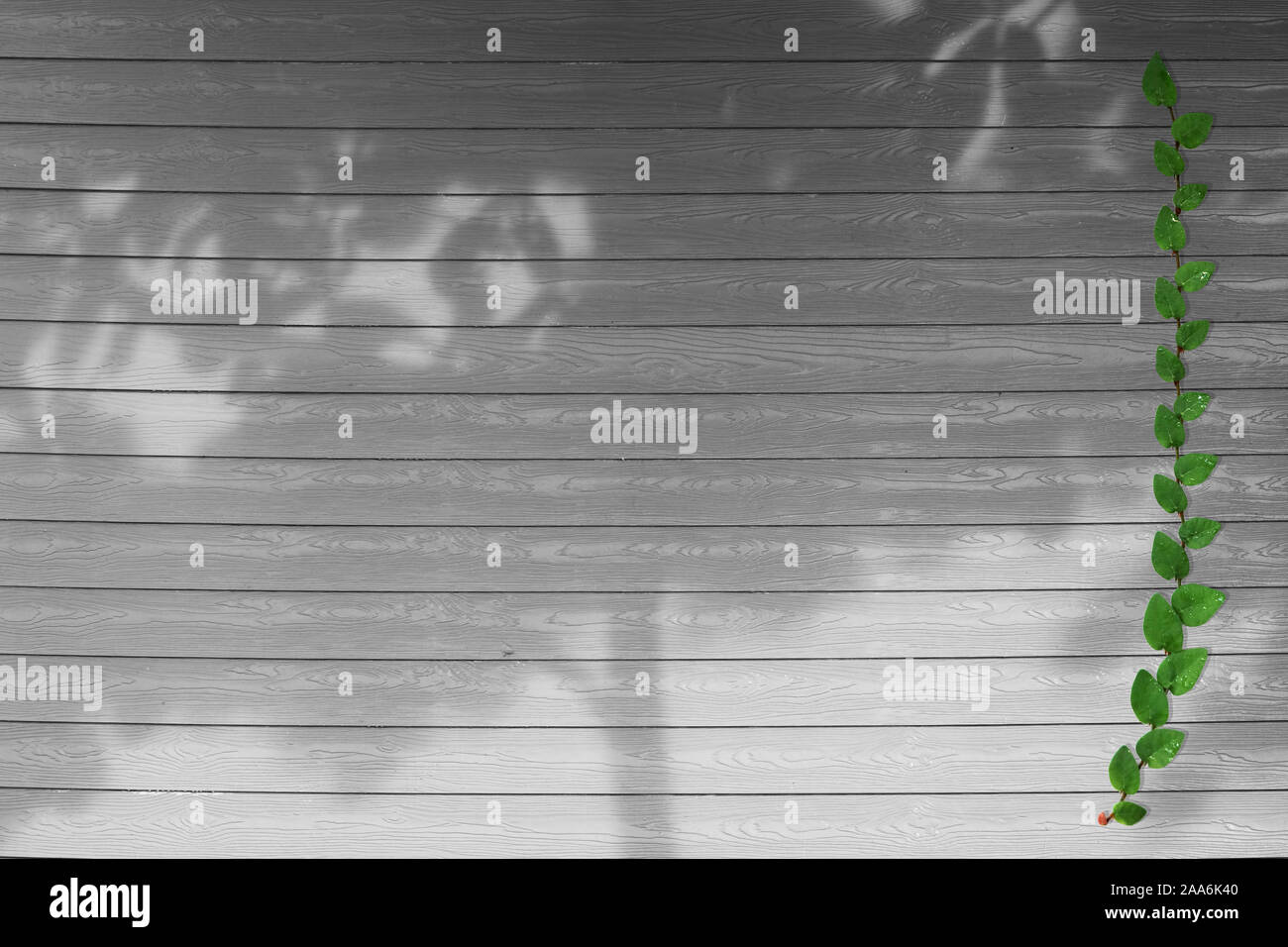 green leaves of nature border and shadow tree on gray wood background ...