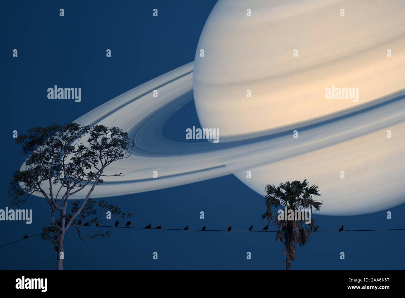 Saturn planet back silhouette birds on power electric line and between ...