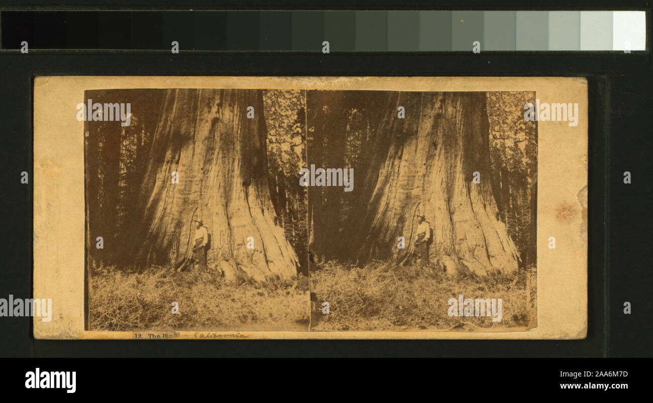 94 feet circumference hi-res stock photography and images - Alamy