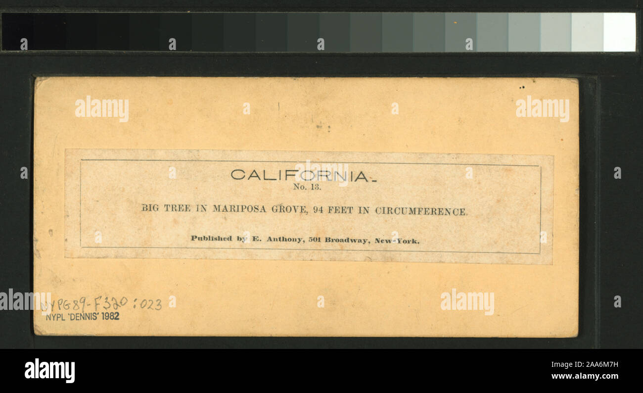 94 feet circumference hi-res stock photography and images - Alamy