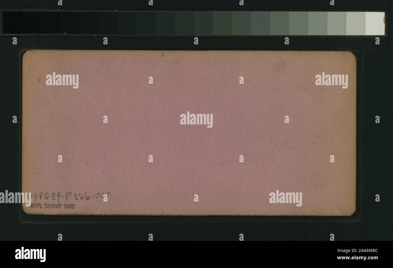 by C. L. Pond.; Big Tree, Empire State, circumference 84 feet. Mammoth ...