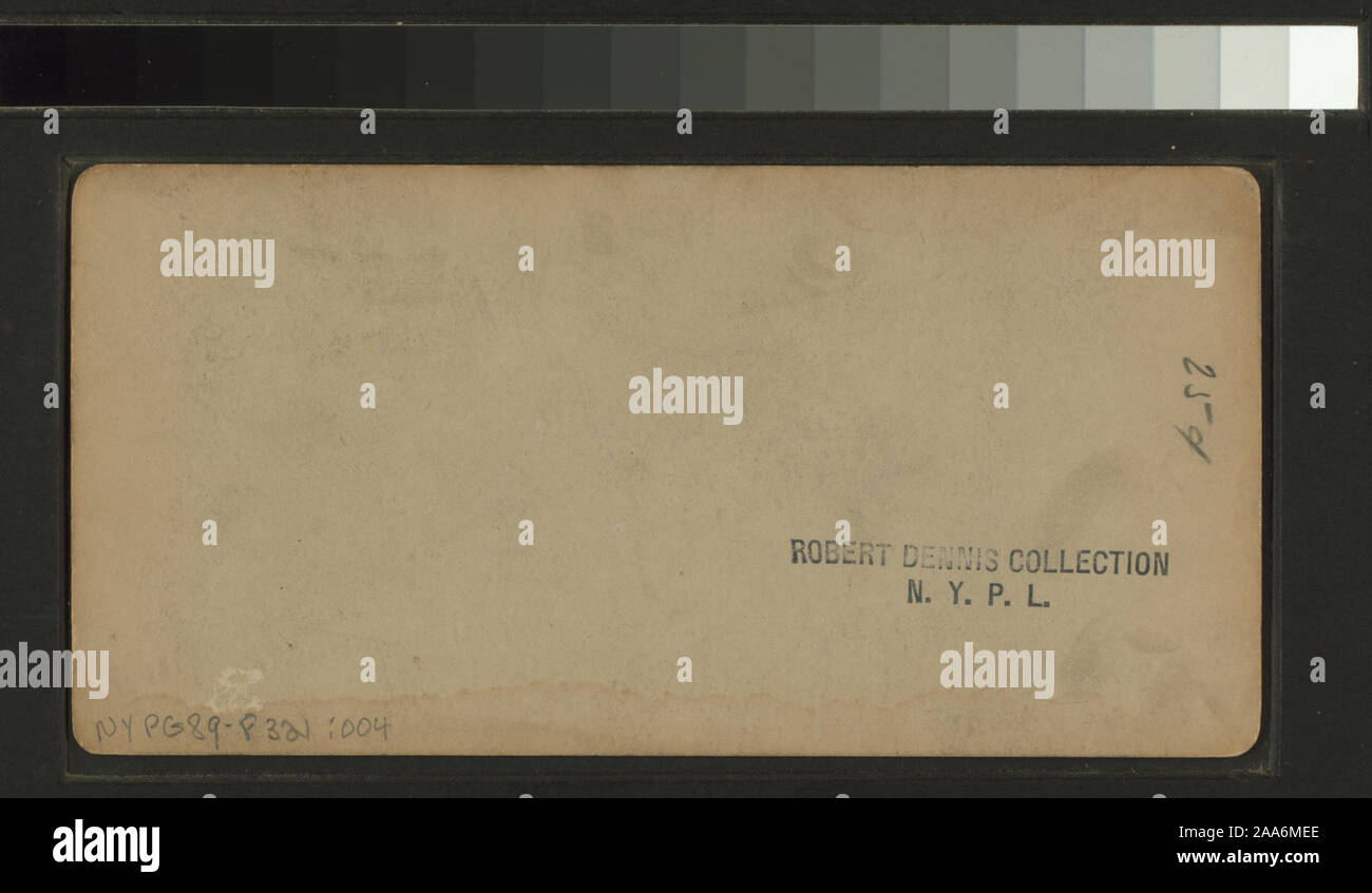 Big tree, felled in Frezno [sic] Grove, (78 ft. circum.) Frezno [sic ...