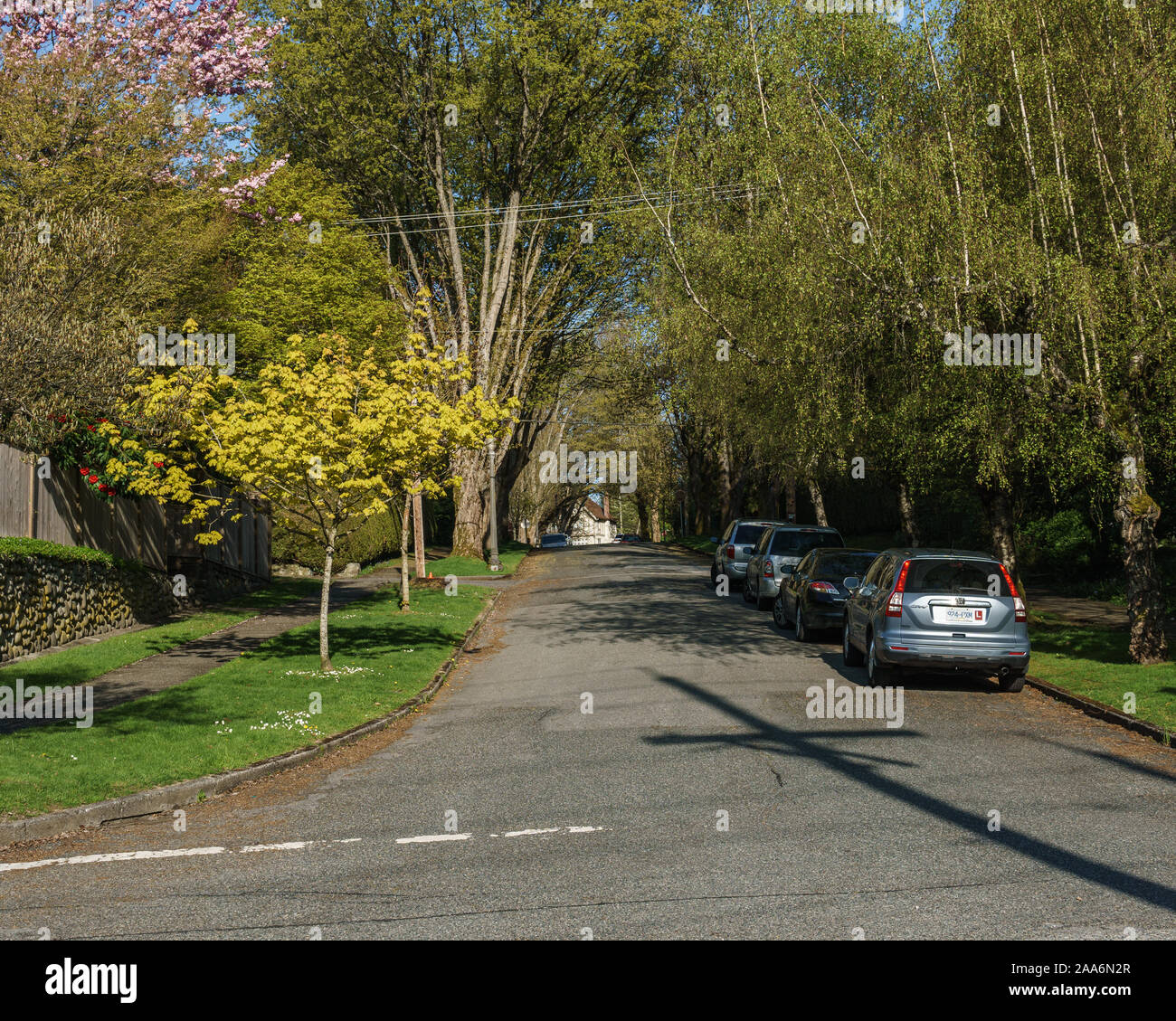 VANCOUVER, BRITISH COLUMBIA, CANADA - April 24, 2019: Gorgeous ...