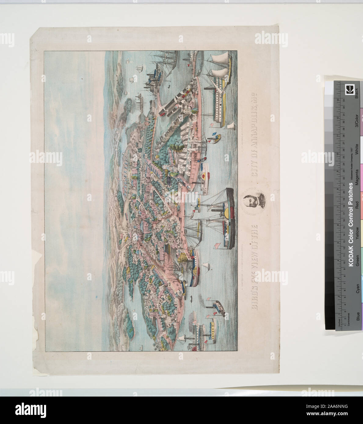 Edward stokes hi-res stock photography and images - Alamy