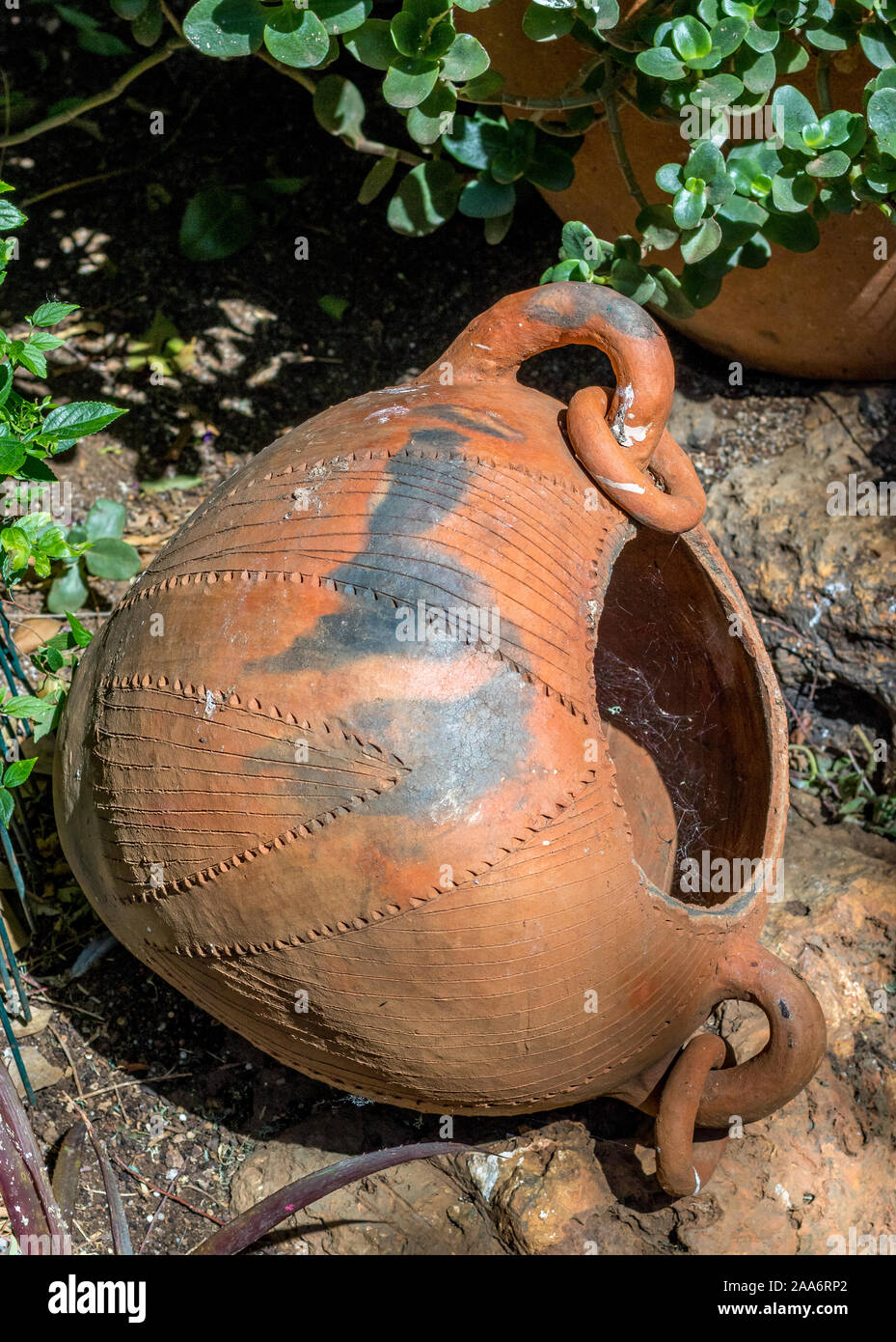 Handcrafted traditional African clay pot isolated in a garden image in ...