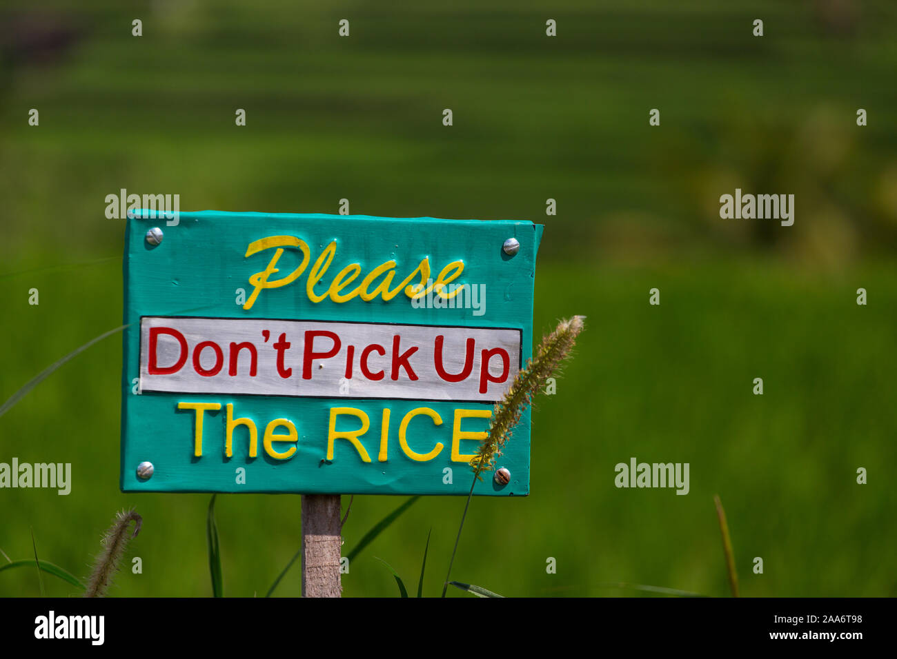 Nice signboard on the paddy field stated "please don't pick up the rice ...