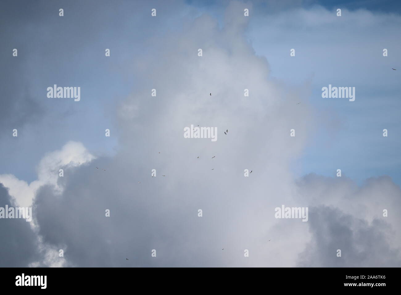 Blue sky and clouds. Summer air background Stock Photo - Alamy