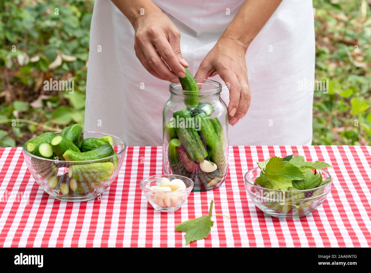 Cucumber pickle process hi-res stock photography and images - Alamy