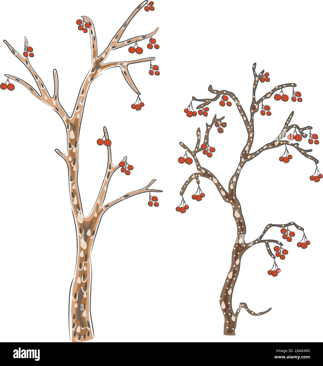 Silhouette of a rowan tree with berries. Rowan Icon Vector Illustration ...