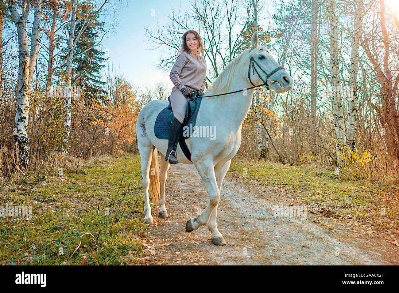 girl riding a white horse in the woods Stock Photo - Alamy