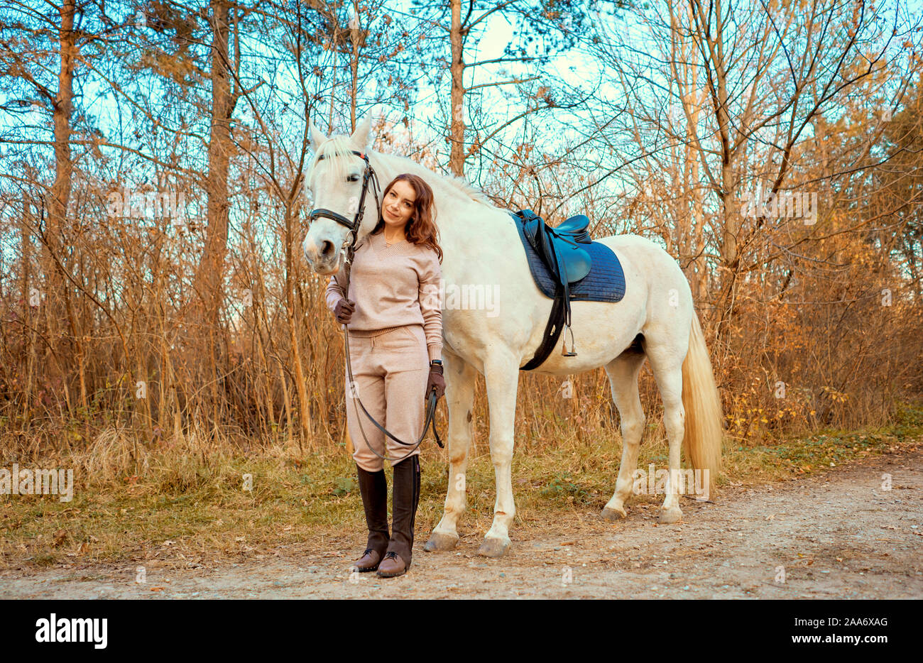 girl riding a white horse in the woods Stock Photo - Alamy
