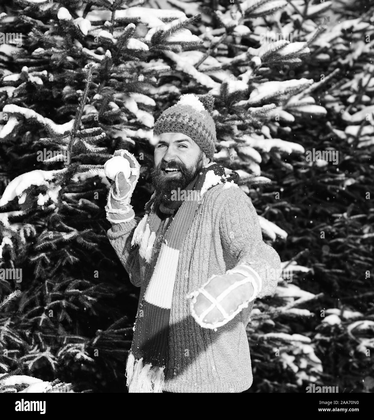 Macho with beard and mustache throws snowball. Guy with happy face with ...