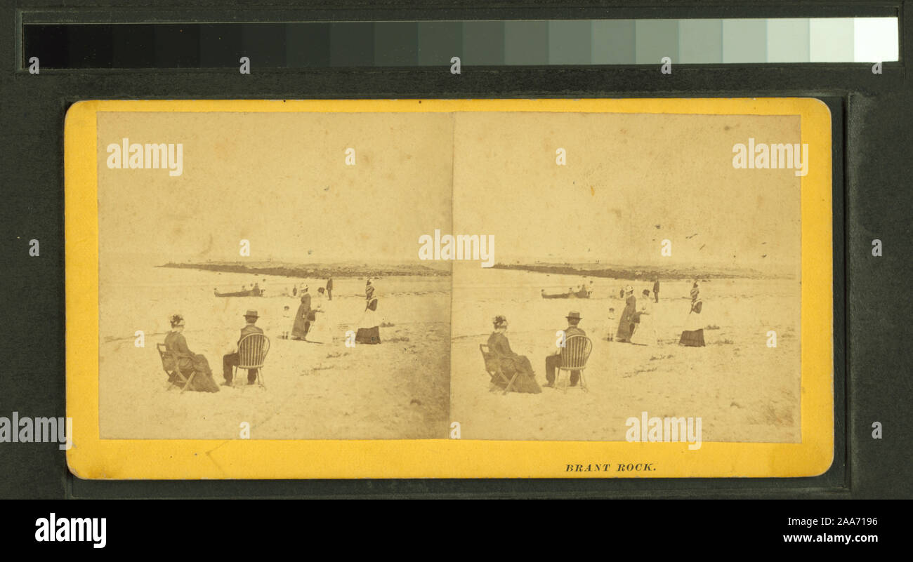 Brant rock hi-res stock photography and images - Alamy