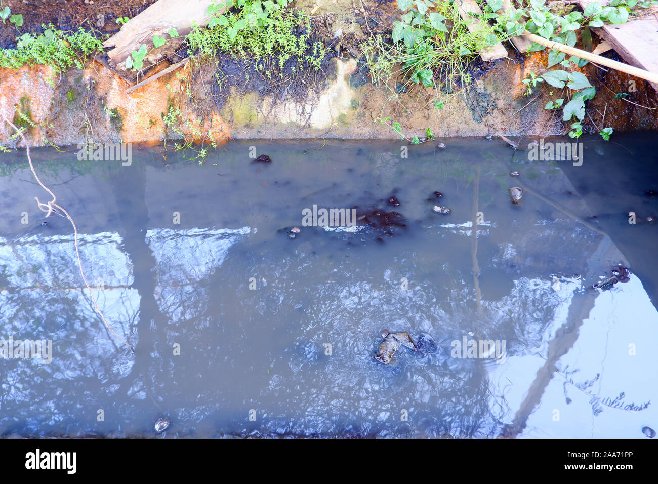 Concept of environmental protection, water emitted from industrial ...